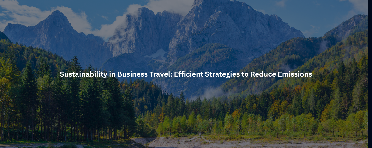 Sustainability in Business Travel | echo.bravo